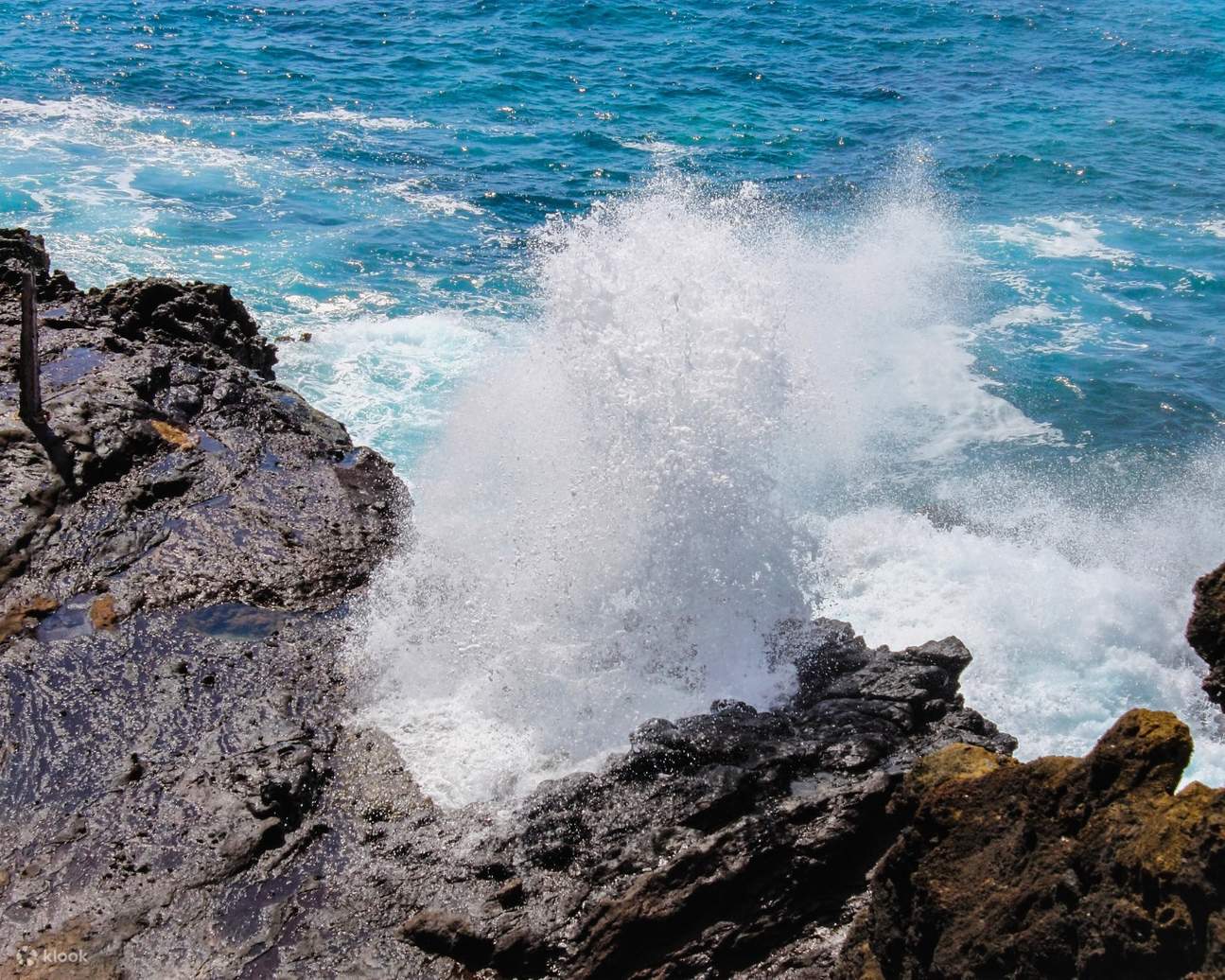 Discover Paradise: Oahu Circle Island Tour for Unforgettable Adventures ...