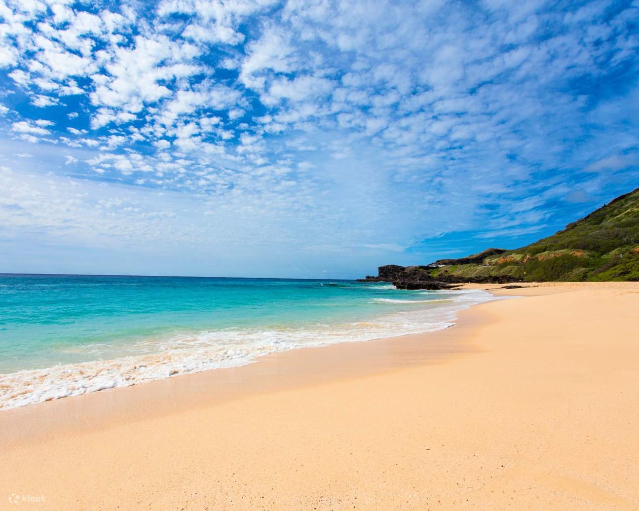 Discover Paradise: Oahu Circle Island Tour for Unforgettable Adventures ...