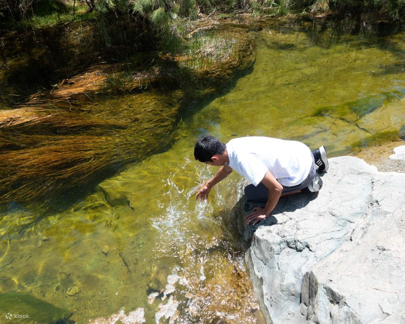 In Quest of the Waterfall Hike - Klook