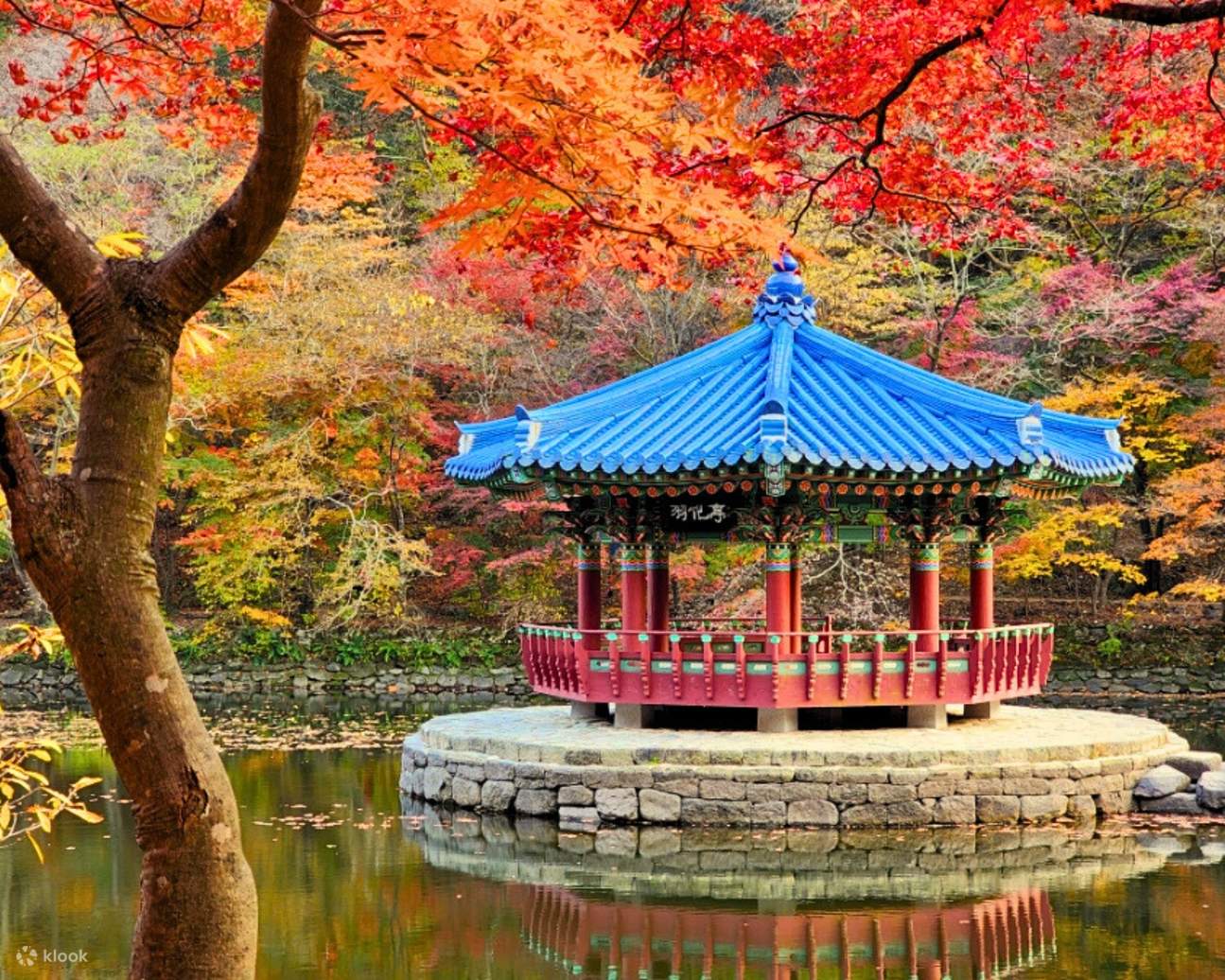 Classic Naejangsan National Park One Day Tour from Seoul - Klook ...