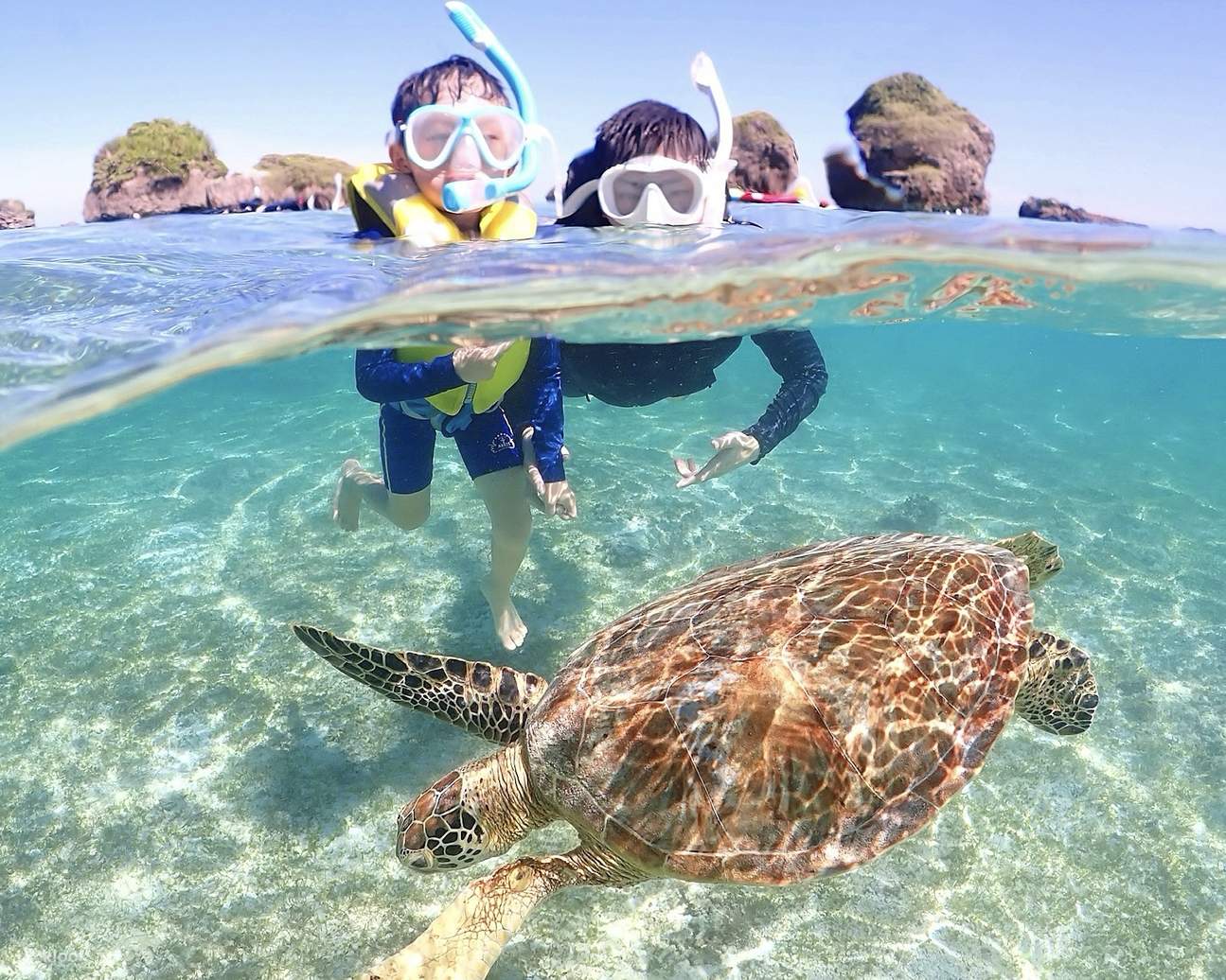 Miyako Island | Outstanding transparency! Snorkeling with sea turtles ...