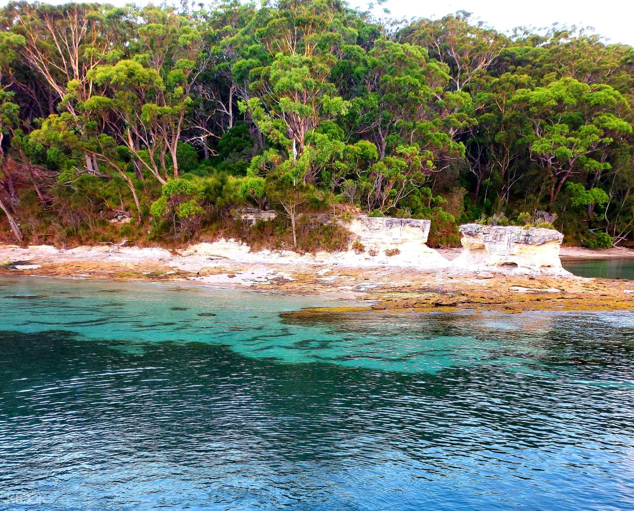 Jervis Bay Passage Sightseeing Cruise - Klook International