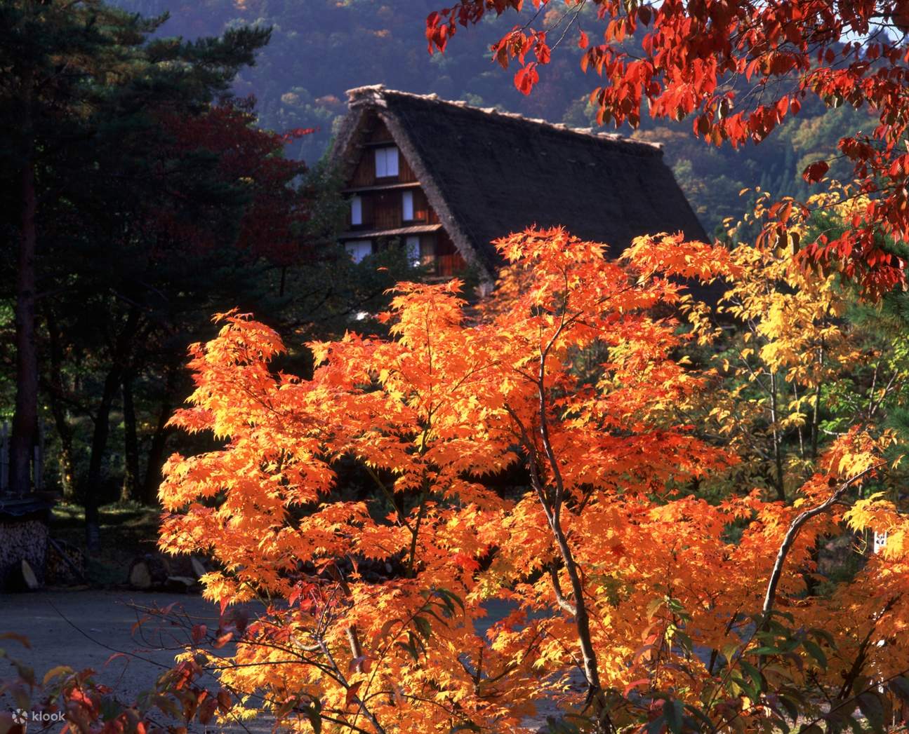 Shirakawa-go One Day Bus Tour with Hida Beef Lunch from Nagoya - Klook