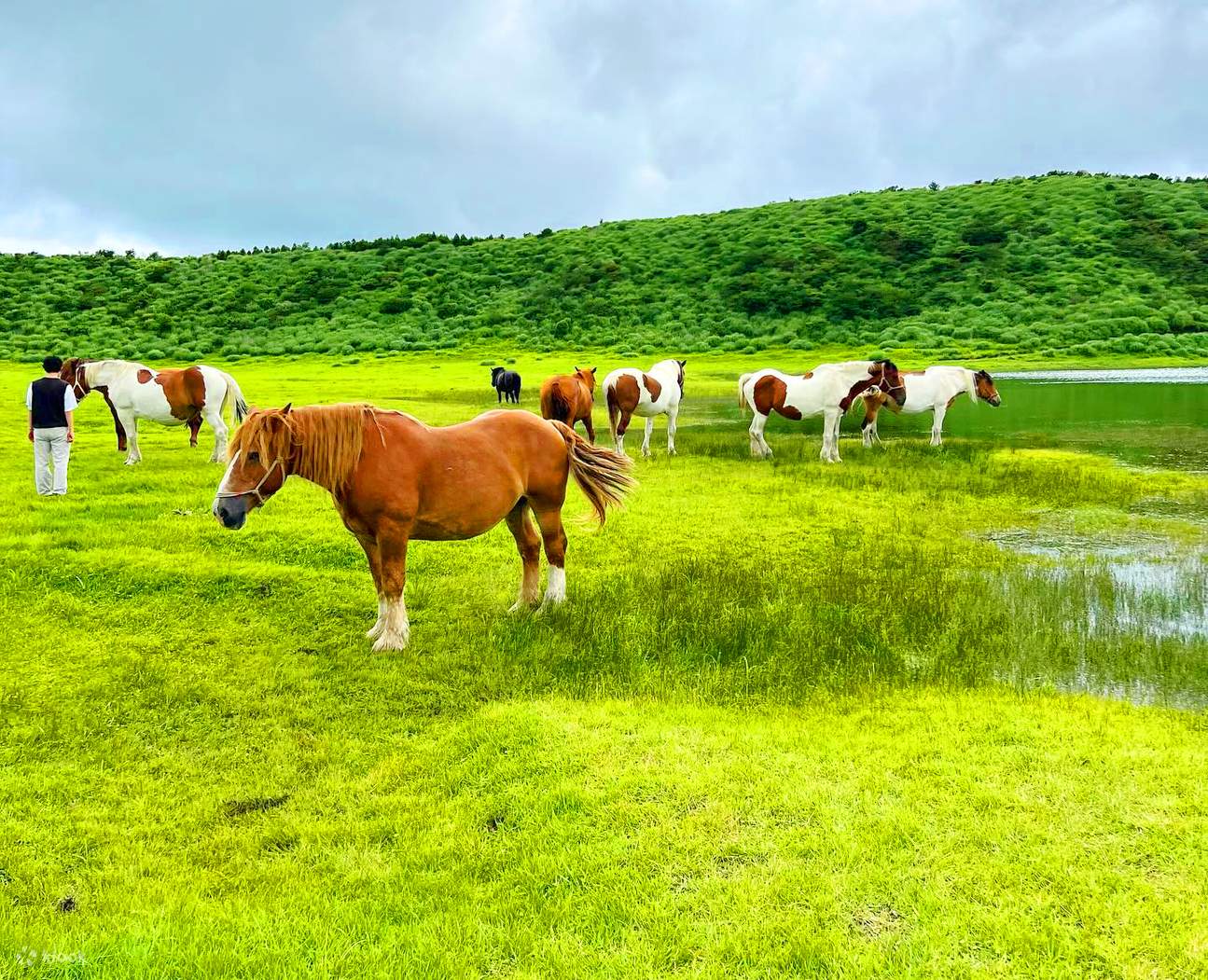 Kyushu: Mount Aso & Takachiho Gorge dengan Menaiki Bot & Lawatan Sehari ...