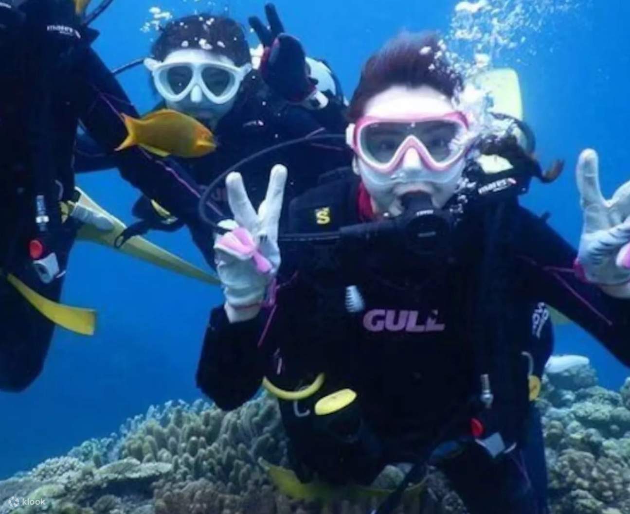 Dive Deeper: PADI Advanced Open Water Diver in Redang with PADI Resort ...