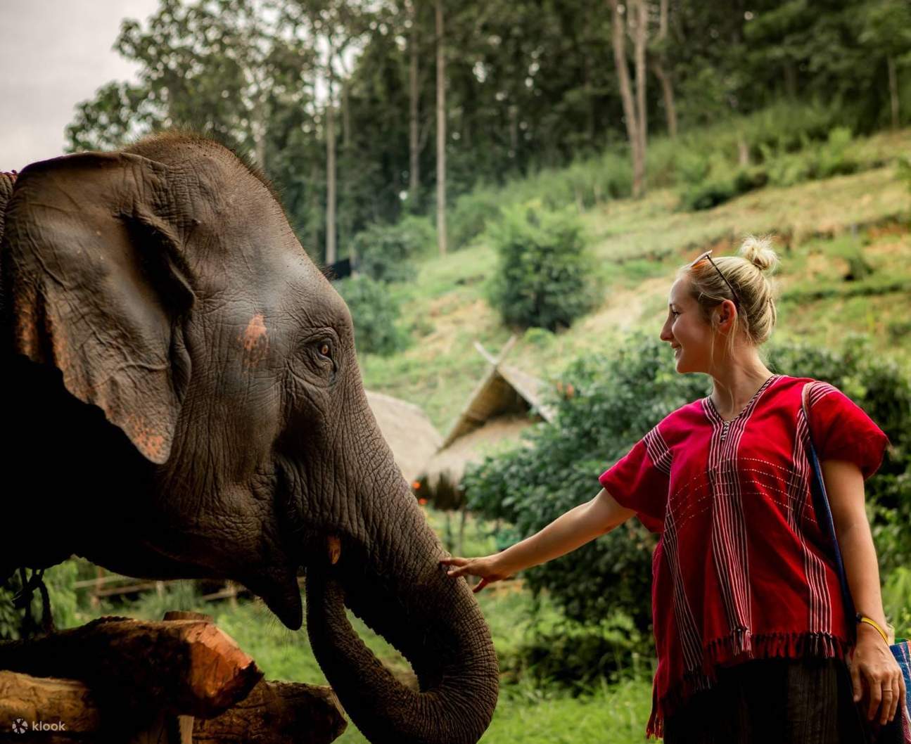 Mae Wang Elephant Camp e Zipline Tour a Chiang Mai - Klook Stati Uniti