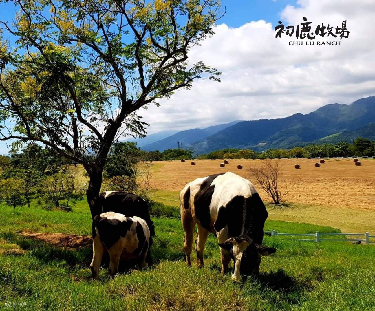Chu Lu Ranch Admission Ticket - Klook