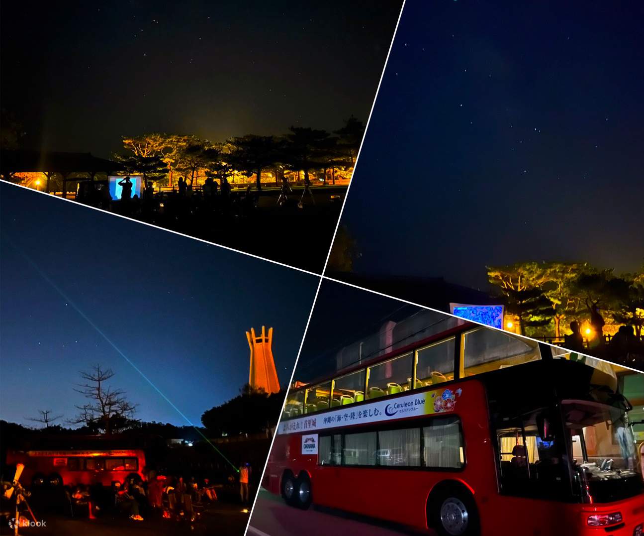 Churashima Open Top Bus Tour by Cerulean Blue Okinawa (Naha departure ...