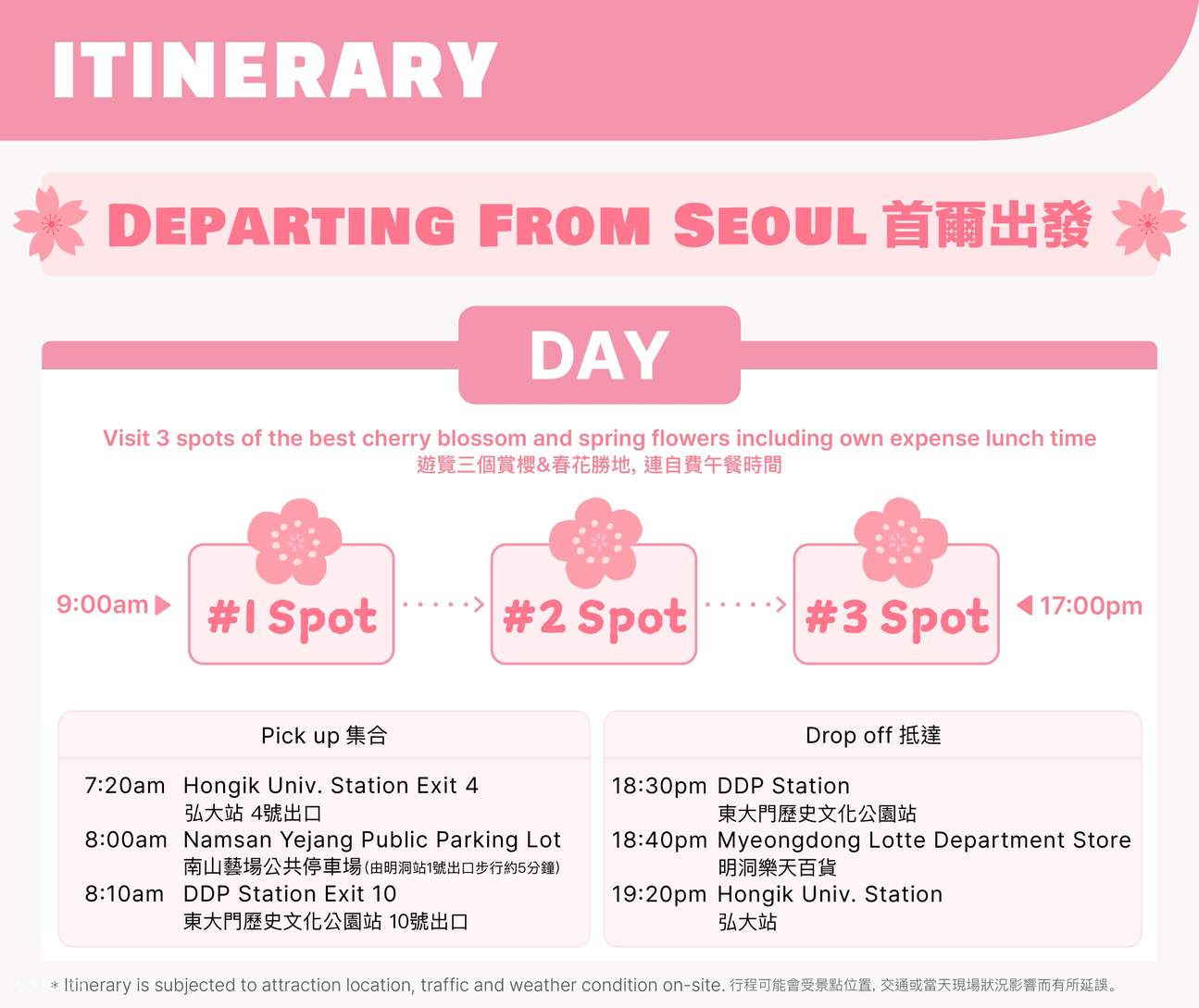 Chasing Cherry Blossoms Tour - Klook