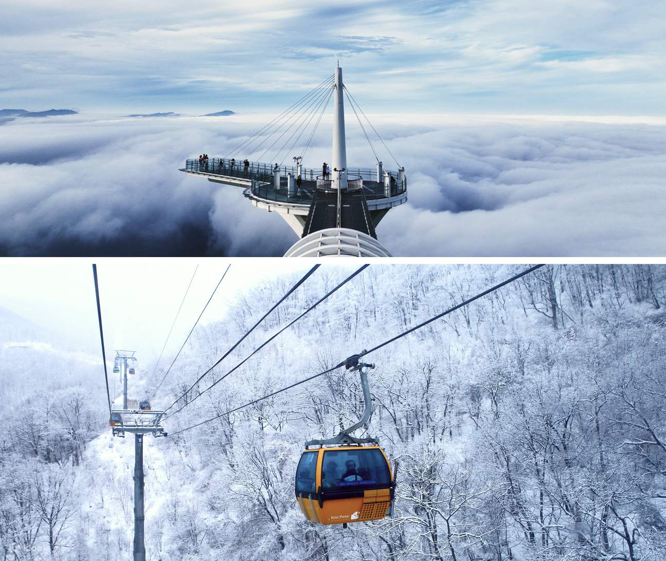 Balwangsan Cable Car & Samyang Ranch One Day Tour from Seoul - Klook ...