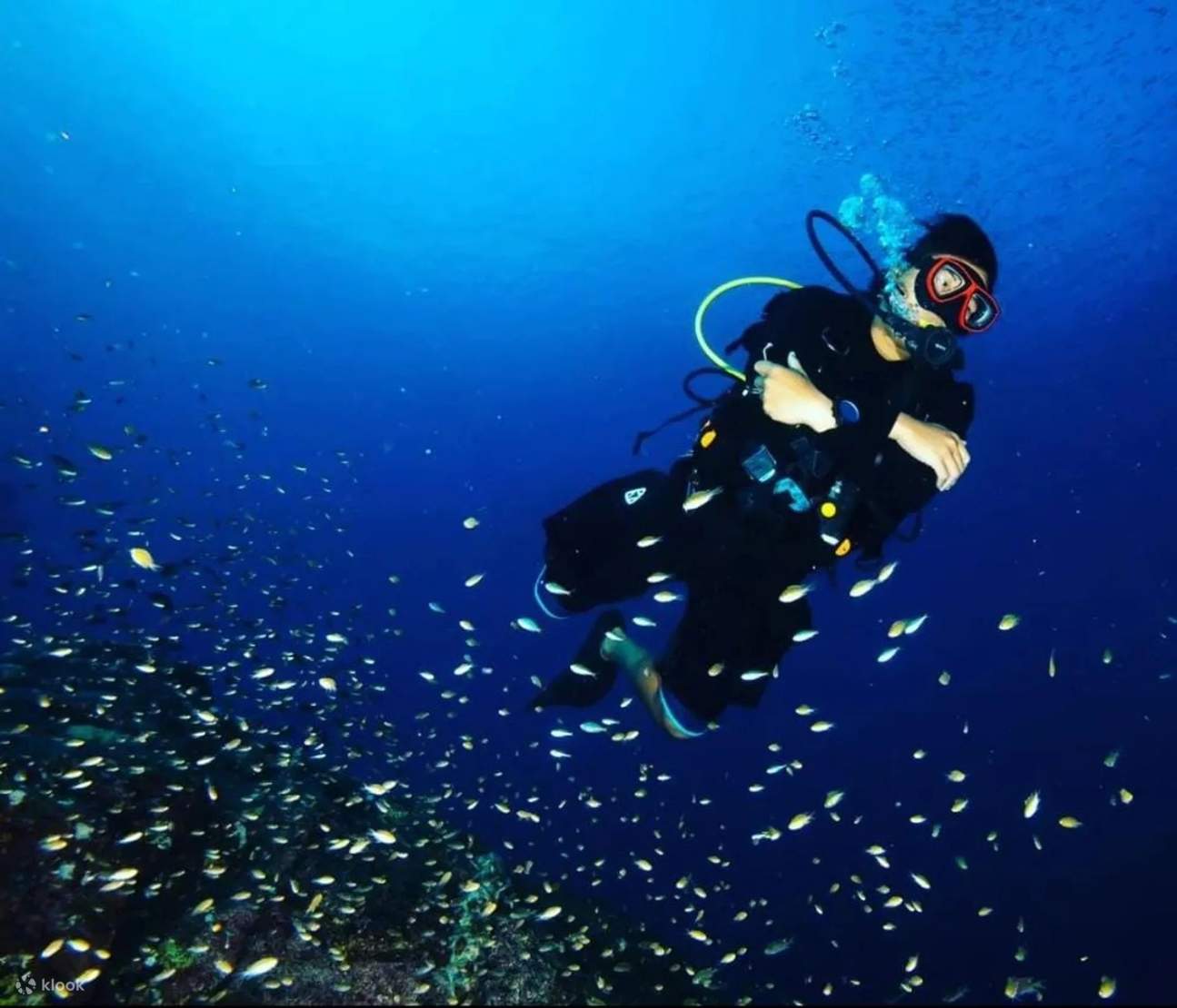 Dive Deeper: PADI Advanced Open Water Diver in Redang with PADI Resort ...