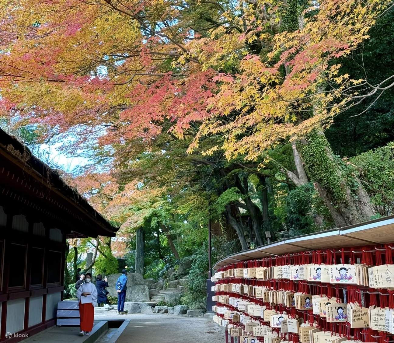 [Autumn Limited] Kyushu Saga Maple Viewing Day Tour | Dazaifu + Kyu-nen ...