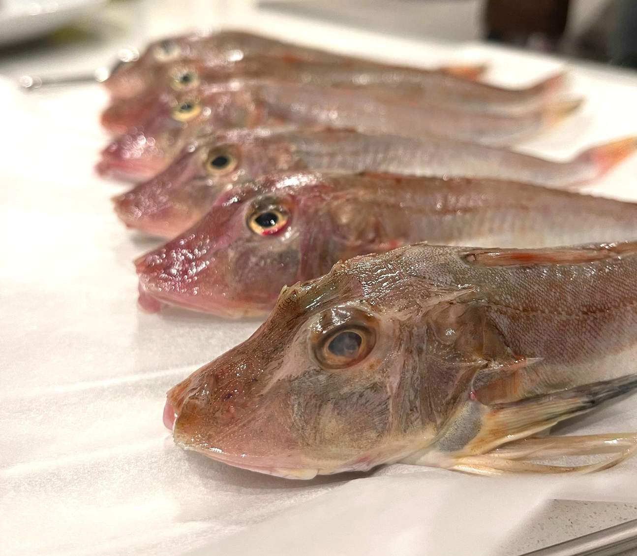 Adriatic Delights: Romagna's Seafood - Klook Singapore