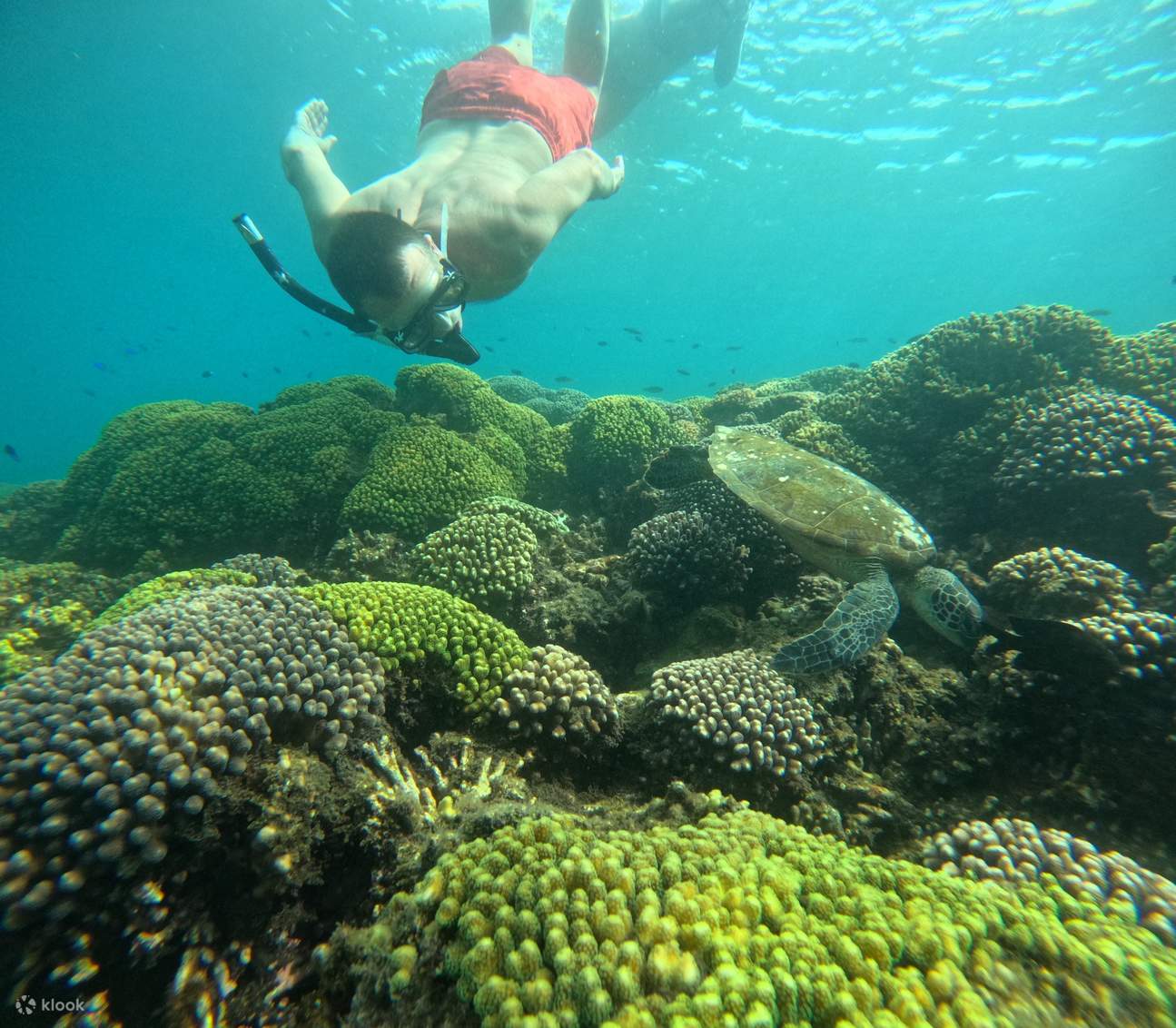 Island hopping di Penghu: Tur Dongji & Gua Biru & Pulau Jenderal dengan ...