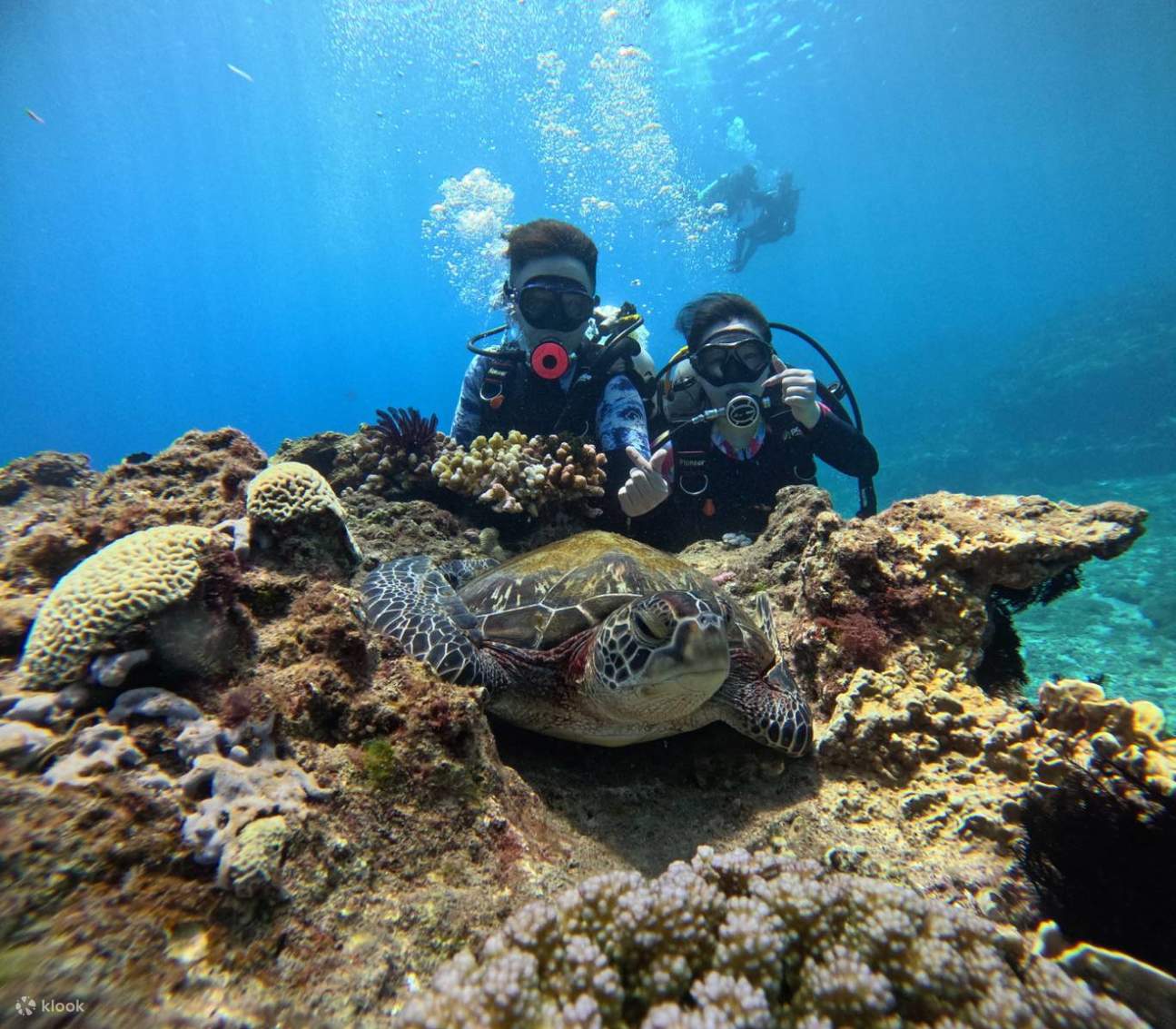 Pingtung: Xiaoliuqiu snorkeling, canoeing, SUP boarding, and diving ...