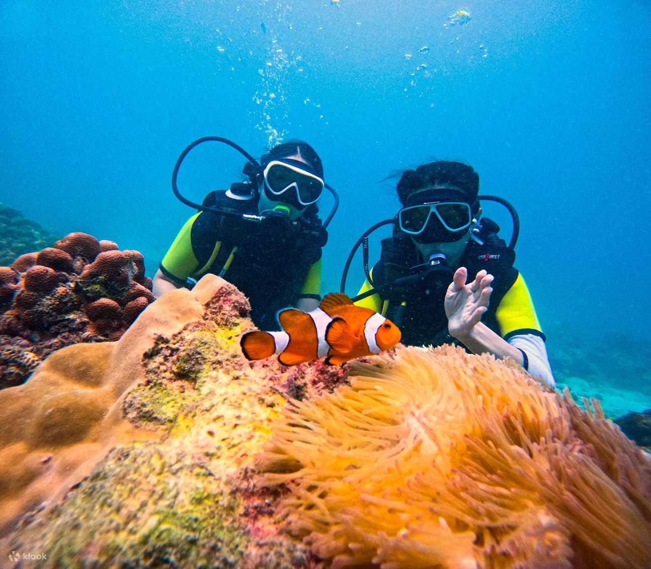 Maithon Private Island Small Group Scuba Diving: 2 Dives Half Day ...