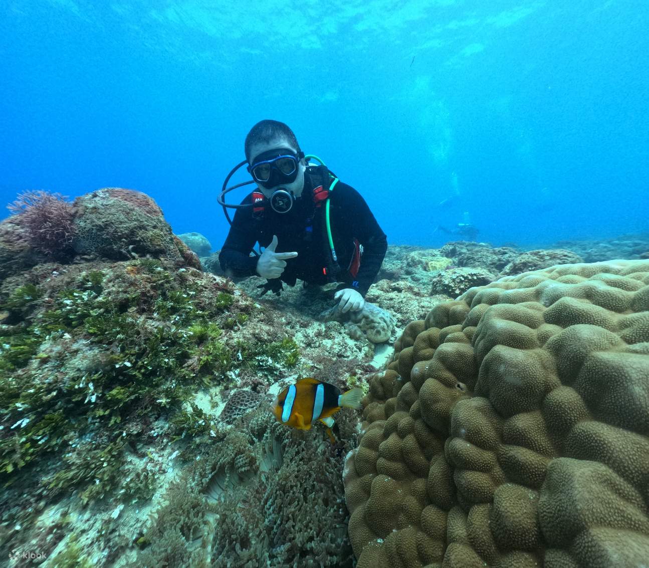 Xiaoliuqiu: Freedom Island Ocean Club - Experience Diving - Klook