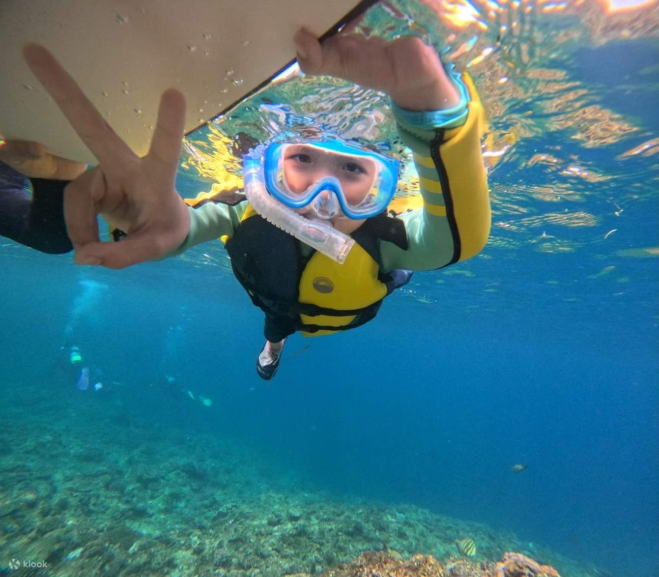 Okinawa Blue Cave chill dive snorkeling and diving Chinese English Japanese - Klook