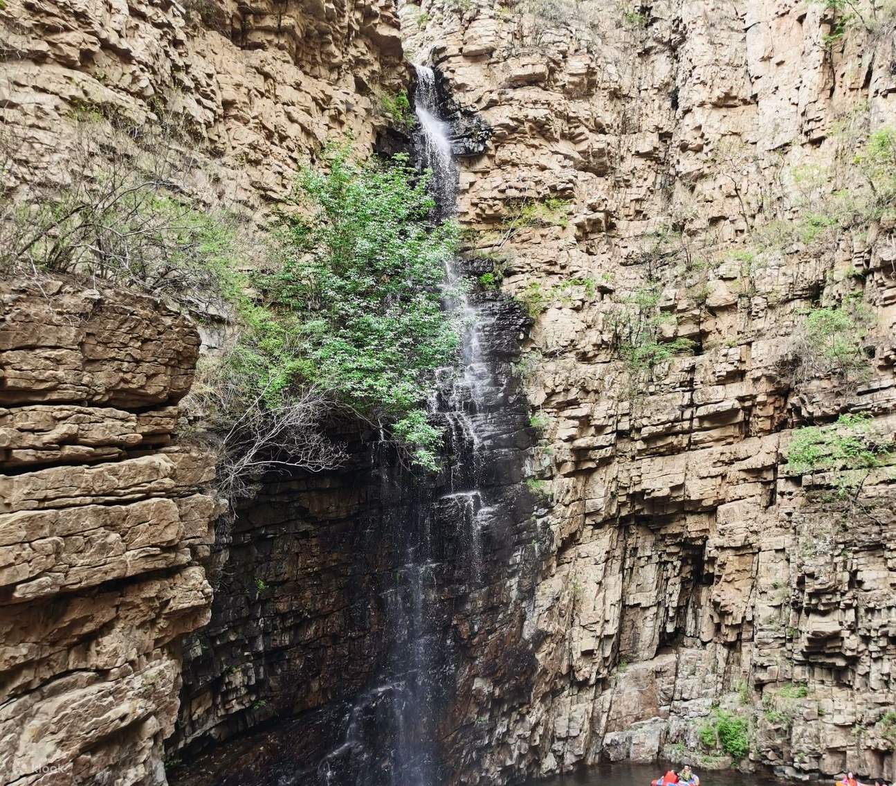 Beijing's Exclusive Secrets Chartered Tour (Many Tours Available ...