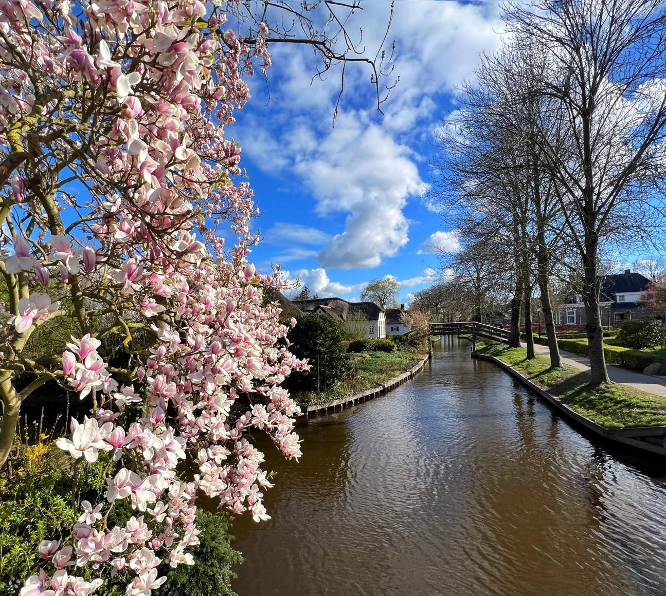 Tour di un giorno alla scoperta di Giethoorn, Afsluitdijk, Zaanse ...