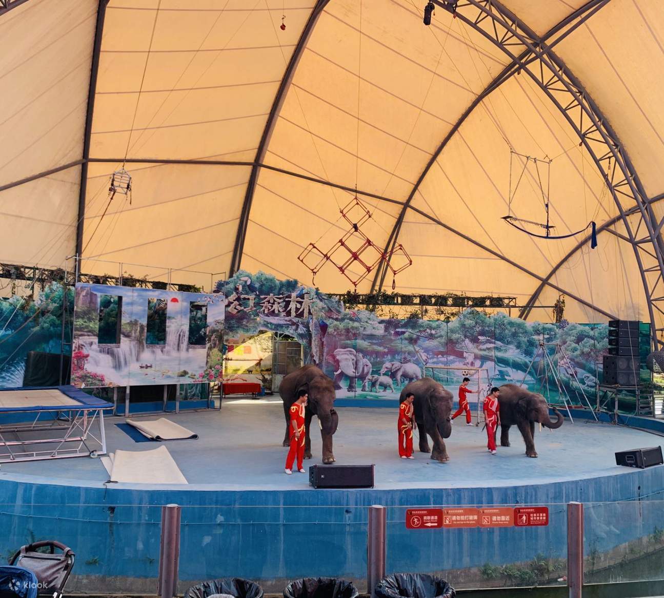 Dongguan Xiangshi Zoo - Klook