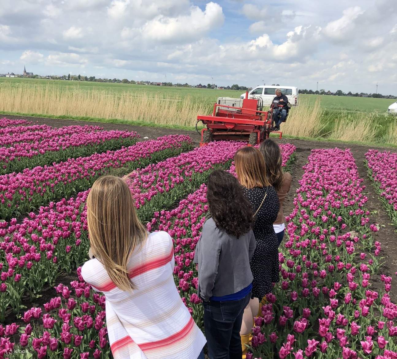 Tur sehari berpemandu Early Flower, berangkat dari Amsterdam - Klook ...