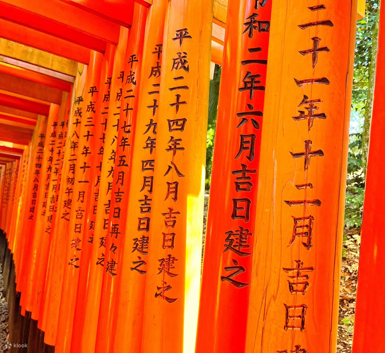 Kiyomizu-dera, Fushimi Inari Shrine, & Nara Park One Day Tour - Klook India