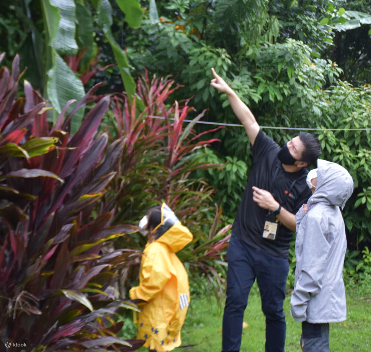Kampong Lorong Buangkok Tour Experience - Klook Singapore
