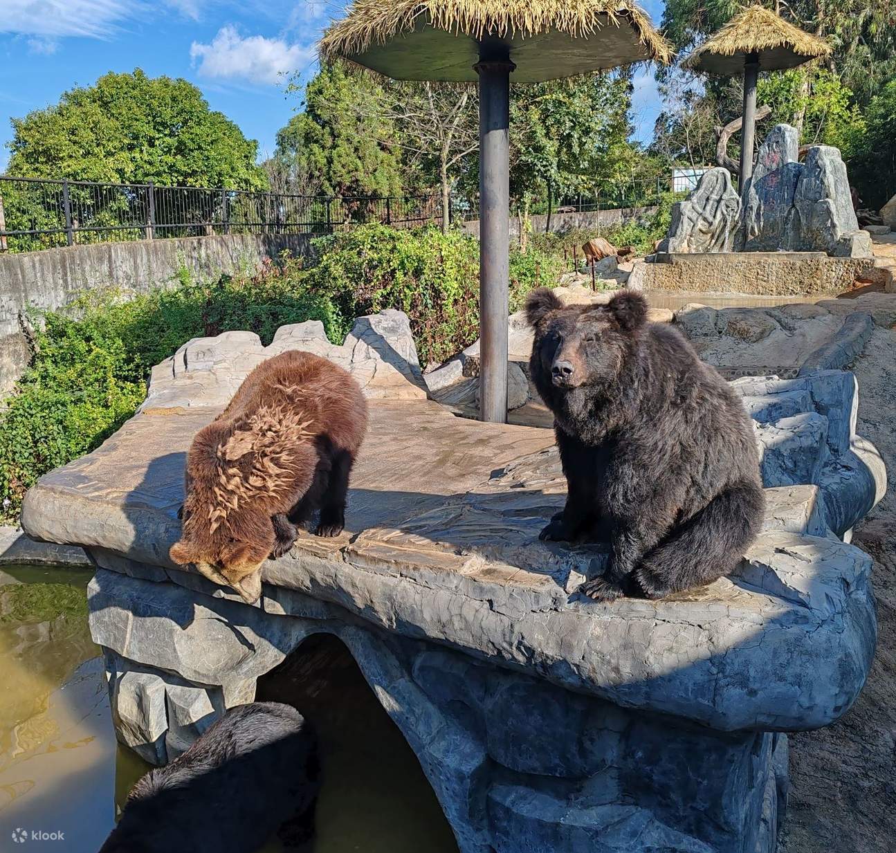 Yunnan Wildlife Park - Klook