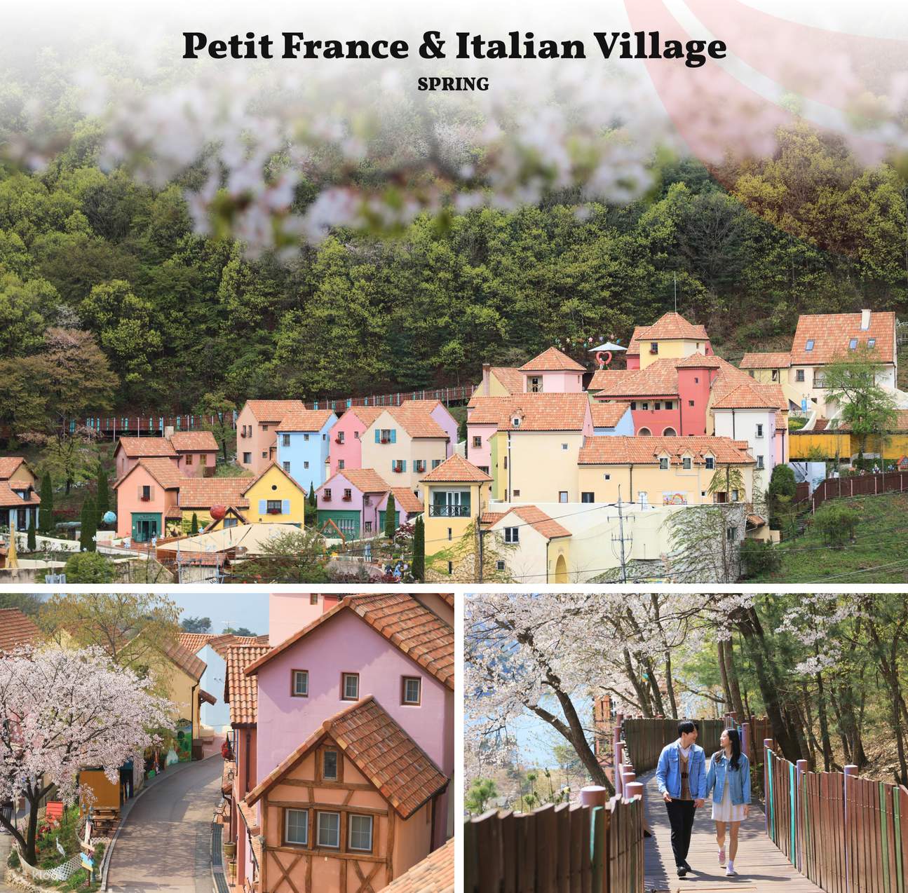 Nami Island Customizable Private Day Tour from Seoul - Klook Singapore