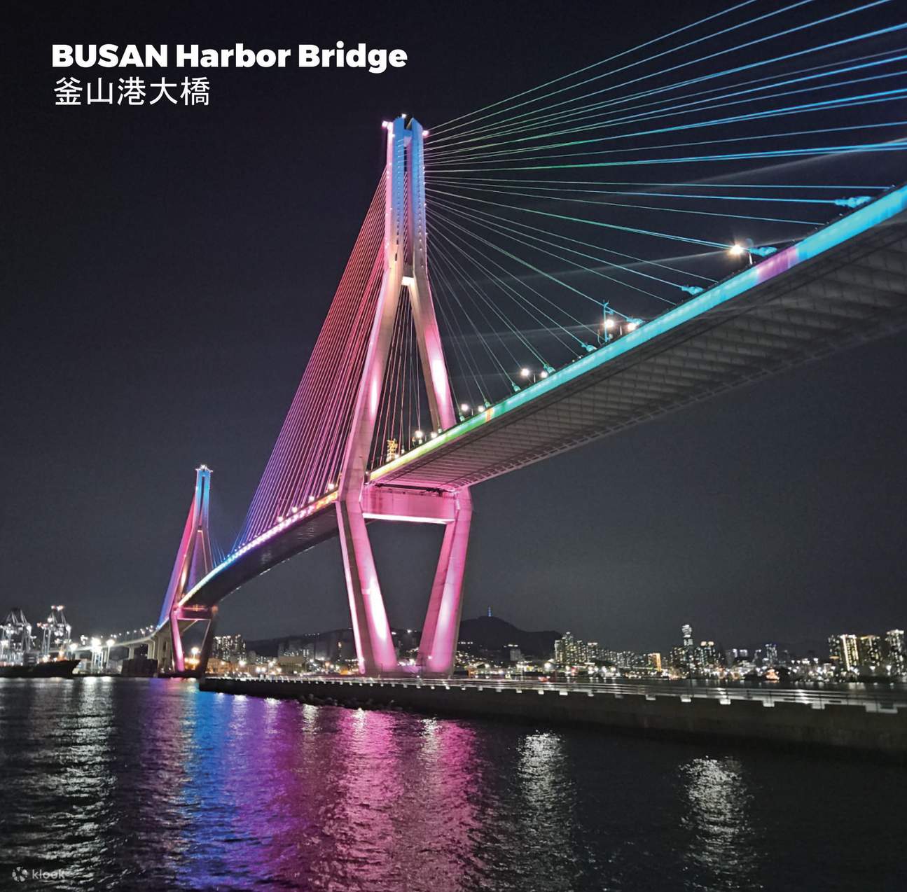 Busan Night Tour includes Snapshots - Klook Singapore