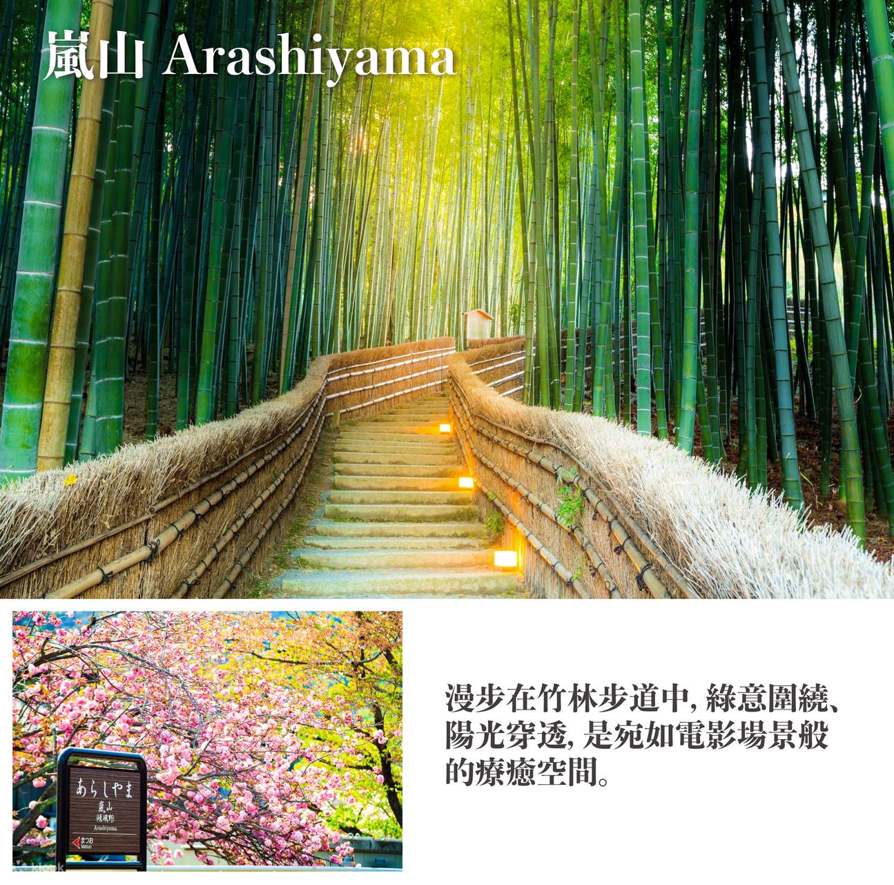 Hutan Bambu Arashiyama, Kiyomizu-dera, Kinkaku-ji Temple, dan Fushimi ...
