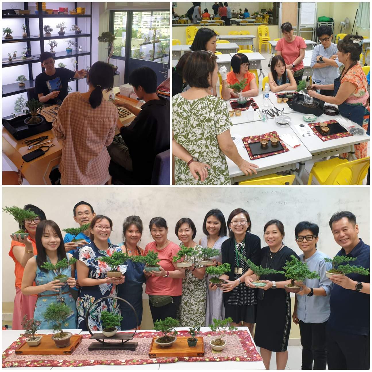 Bonsai Workshop - Klook Singapore