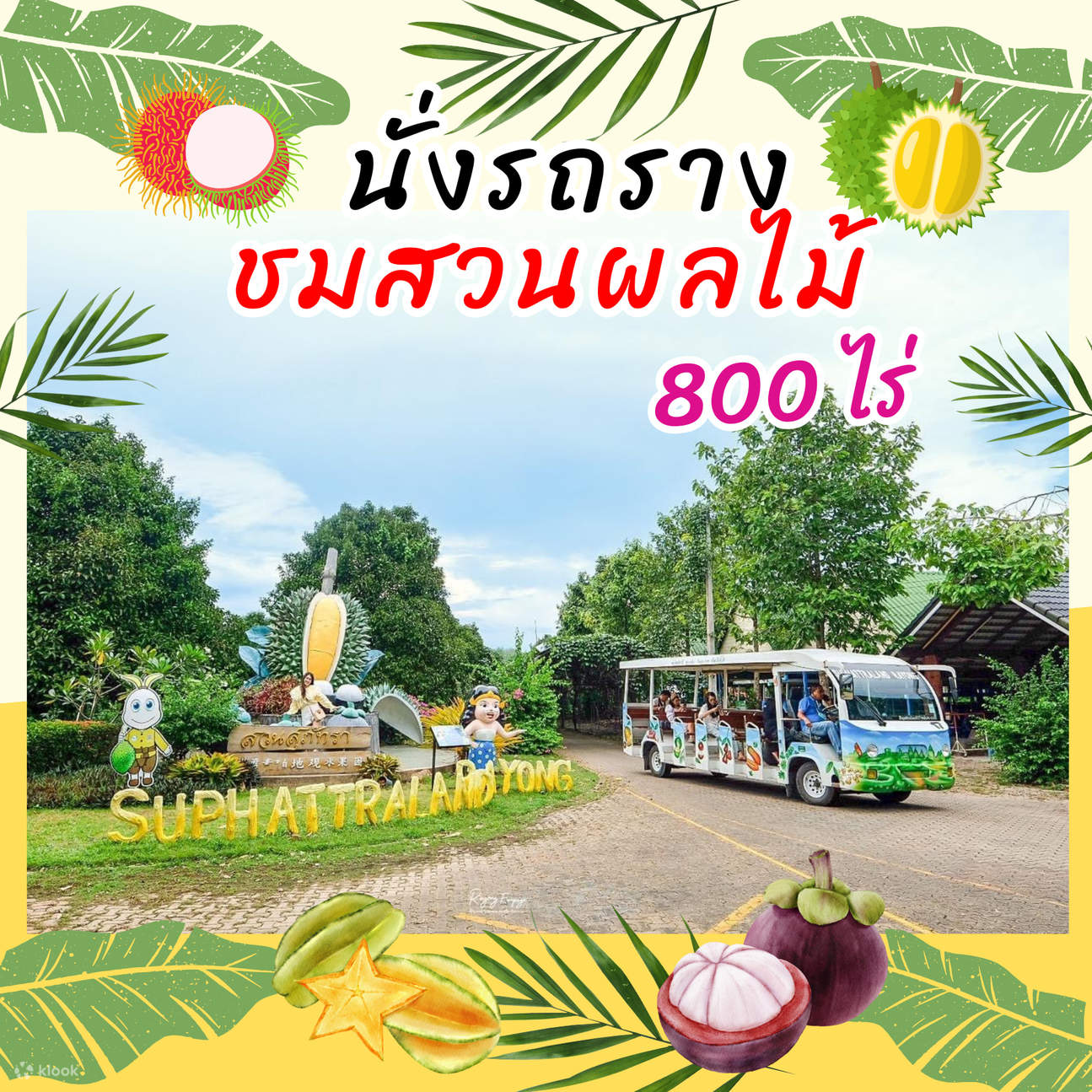 Một ngày trọn vẹn ở Pattaya-Rayong với tiệc buffet sầu riêng tại Suphattraland Farm - Klook Việt Nam