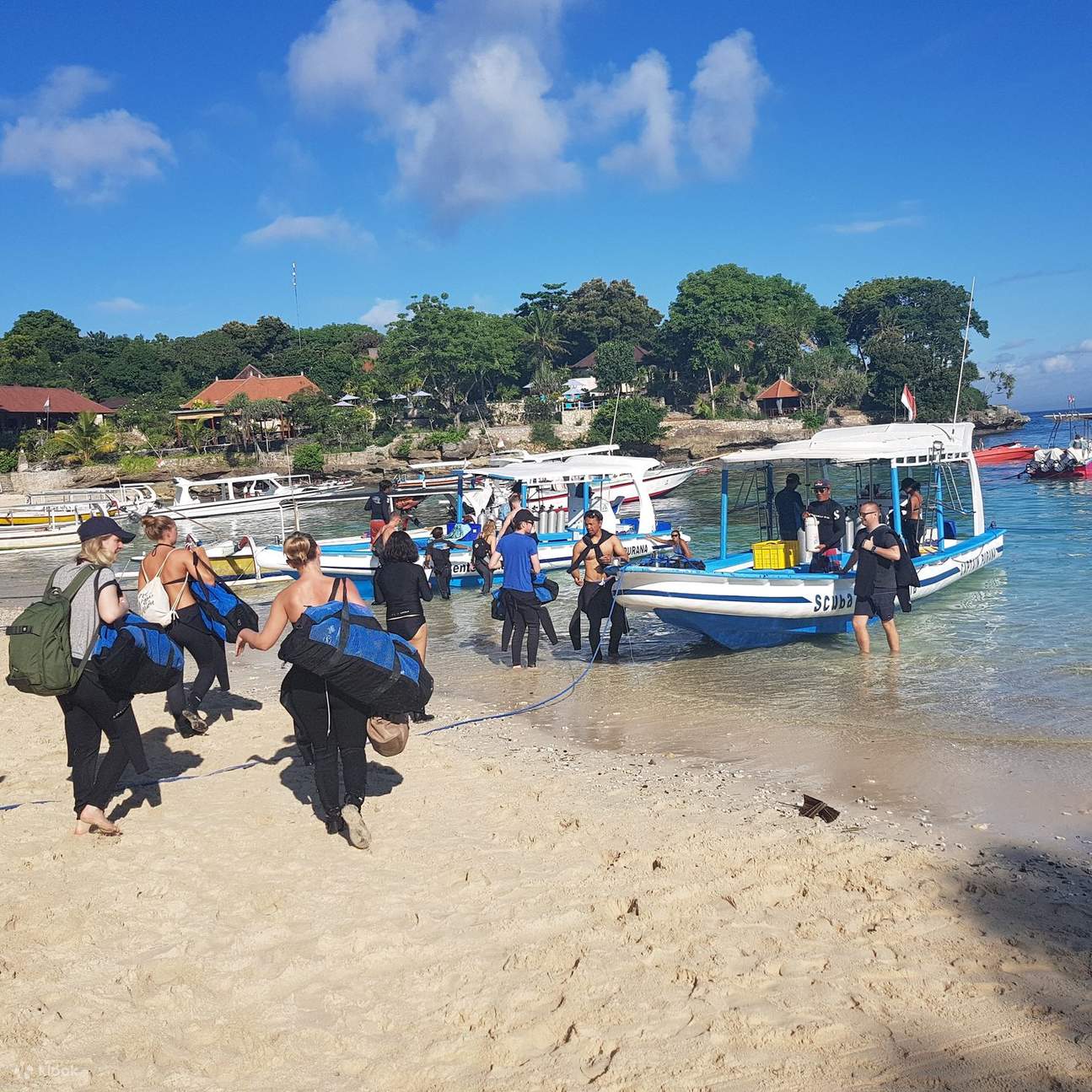 Dive Trip in Lembongan & Nusa Penida with PADI 5 Star IDC Resort ...