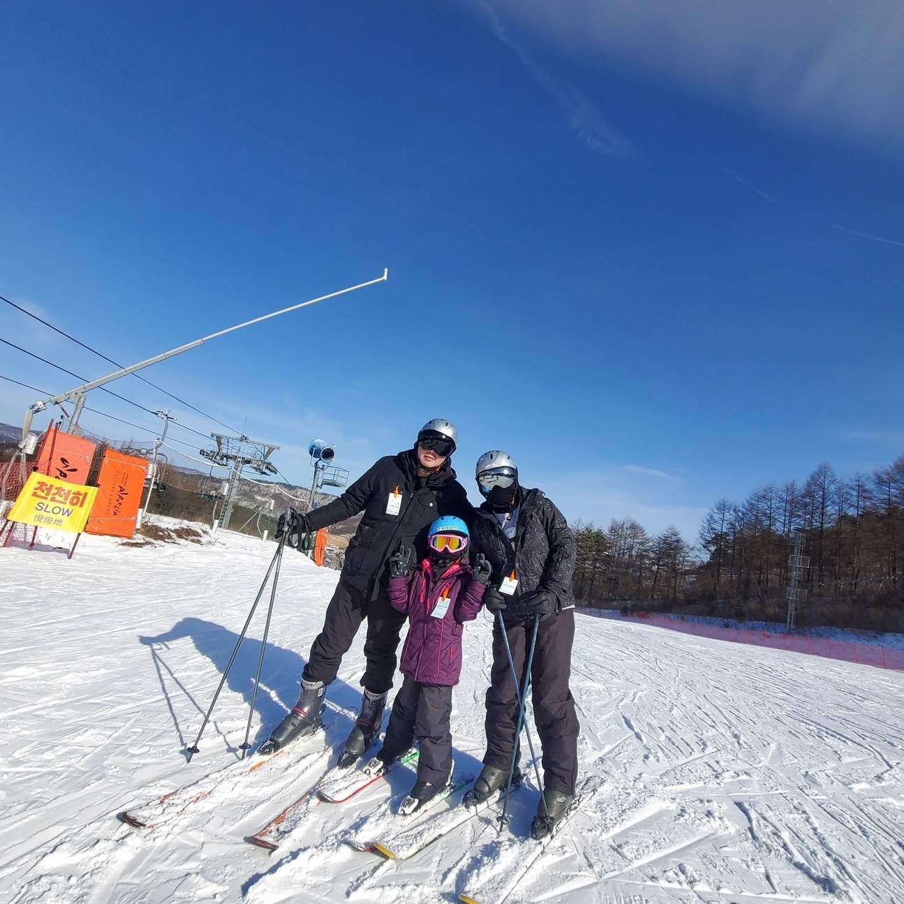 Alpensia Ski Resort Private Ski Lesson - Klook