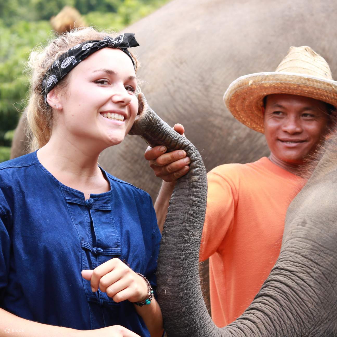 Join In Trek Waterfall, Elephant Sanctuary And Water Rafting in Chiang ...