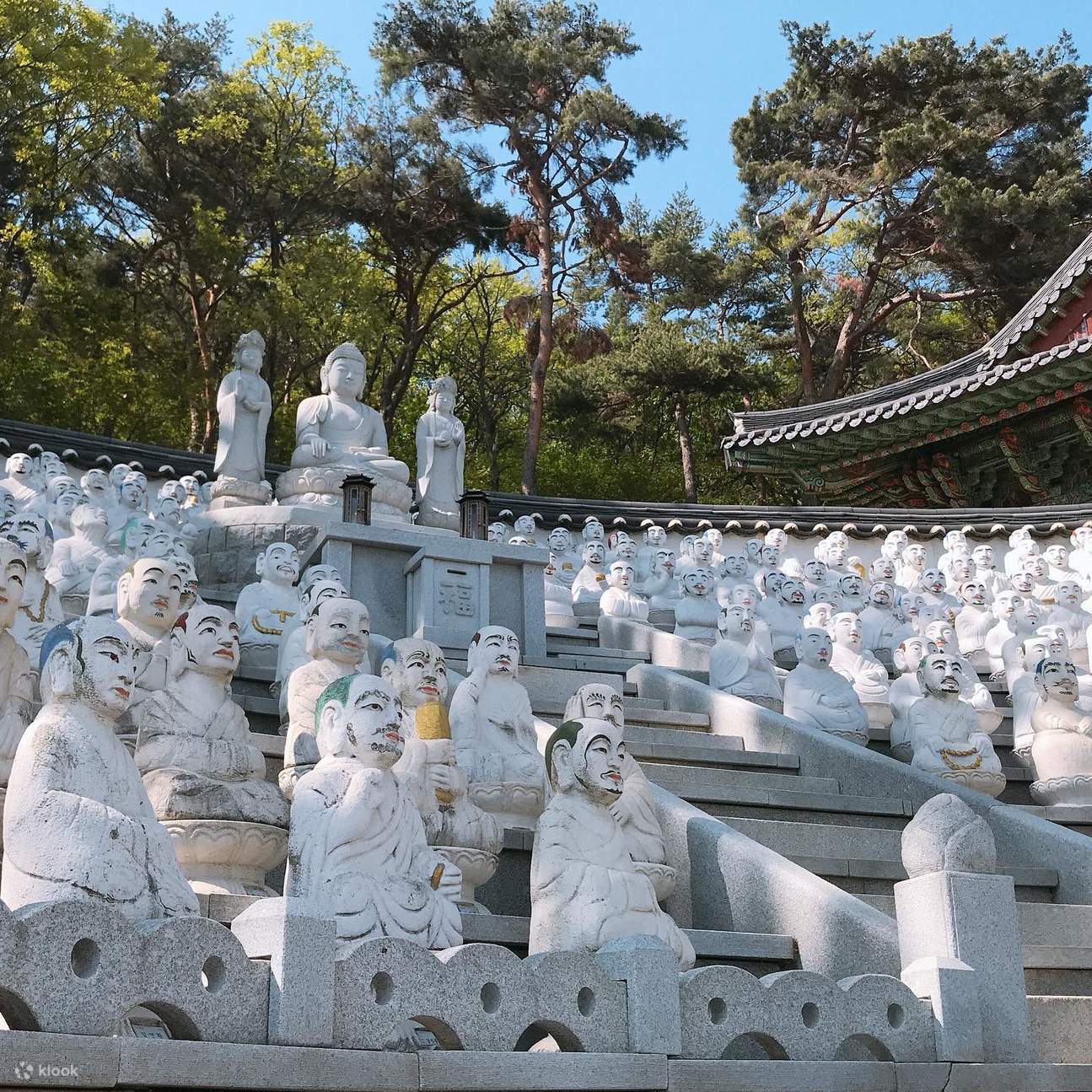 Sunset in Hot Springs & Bomun Temple & Dream Park from Seoul - Klook Россия