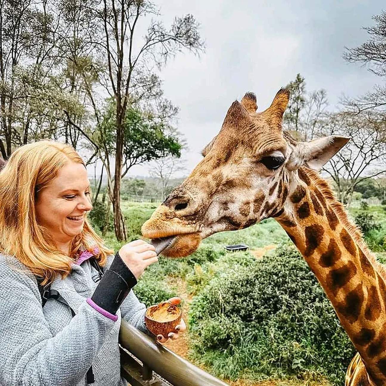 Entdecken Sie die Wunder des Nguuni Nature Wildlife Sanctuary. - Klook ...