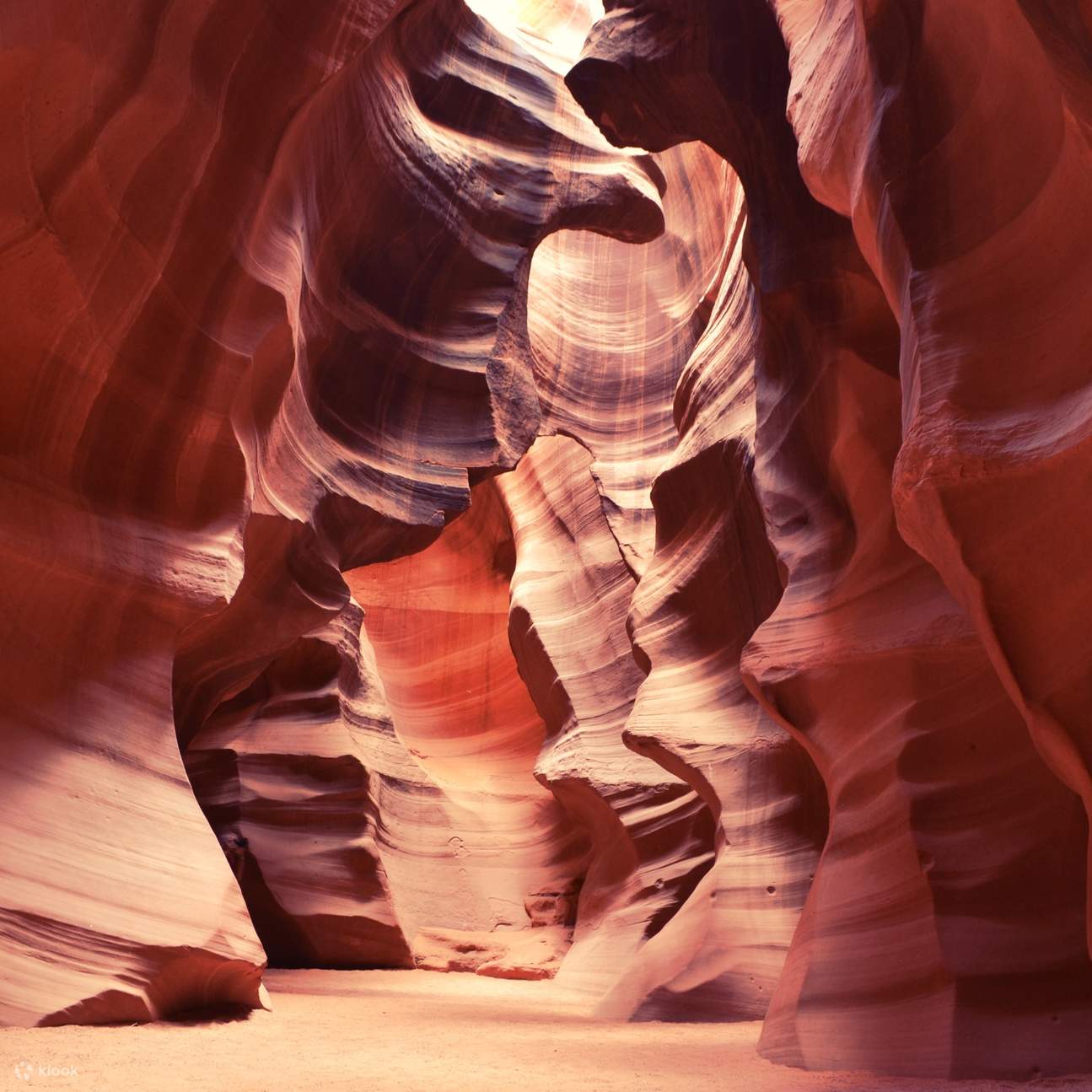 Antelope Canyon, Horseshoe Bend, & Lake Powell Tour from Arizona ...