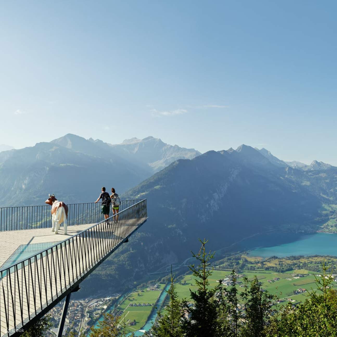 Funicular Ride Admission in Interlaken (Direct Entry) - 클룩 KLOOK 한국