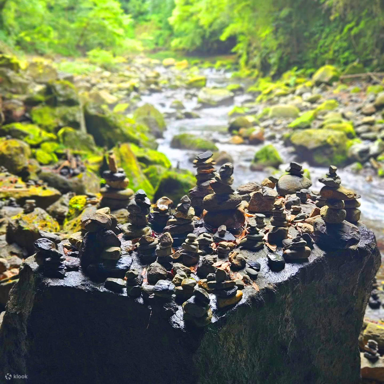 Kyushu Gorge Train Experience | Takachiho, Amano Iwato Shrine, Amano ...