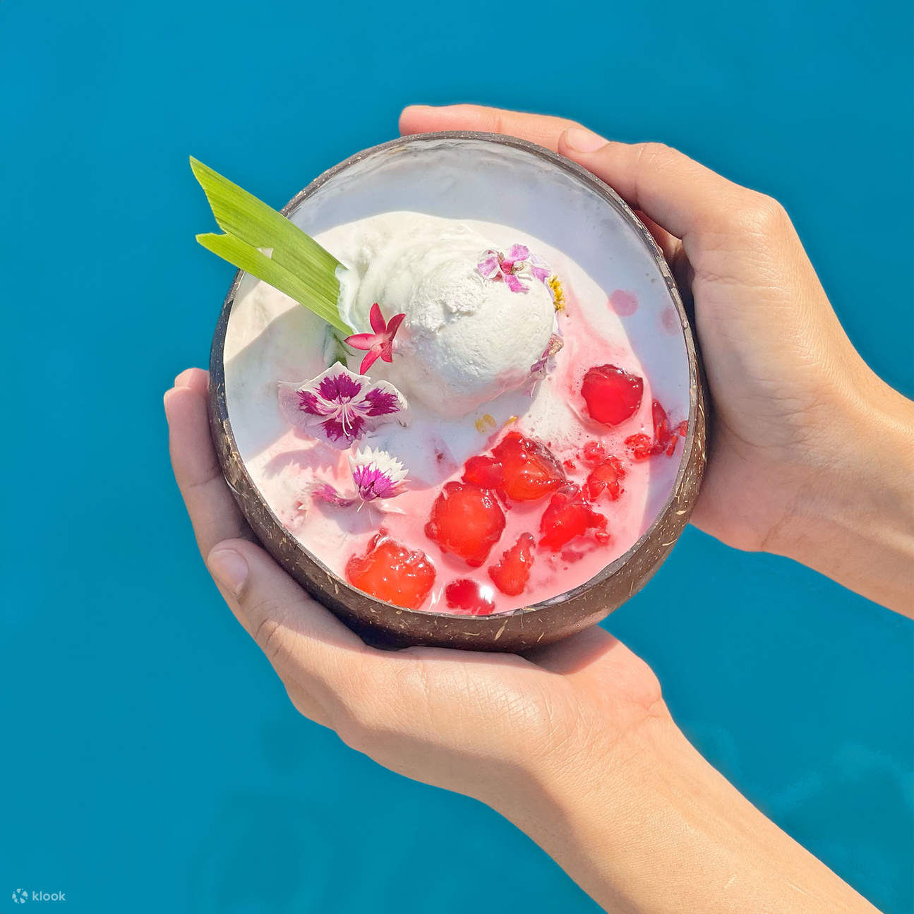 Bubble in the Forest Cafe - Klook