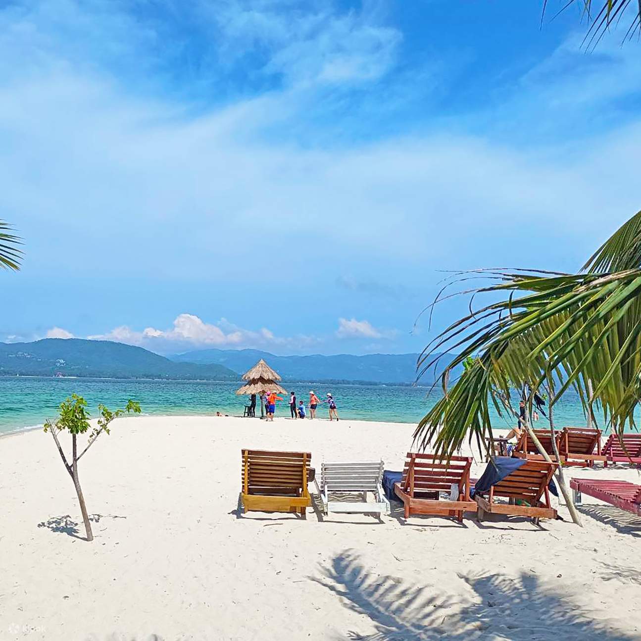 Pig Island VIP - Klook