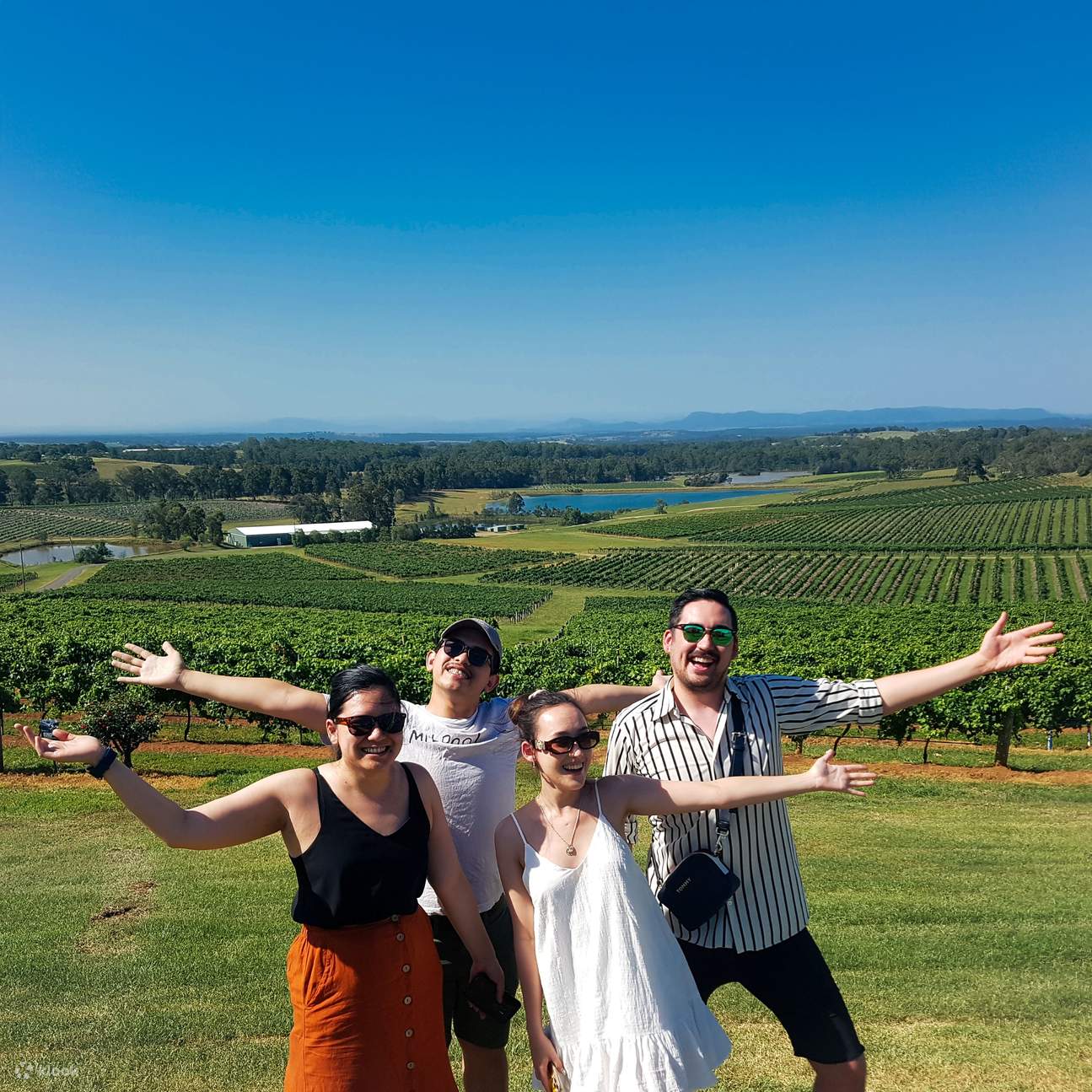Hunter Valley Wine, Gin, and Cheese Tasting Tour - Klook Singapore