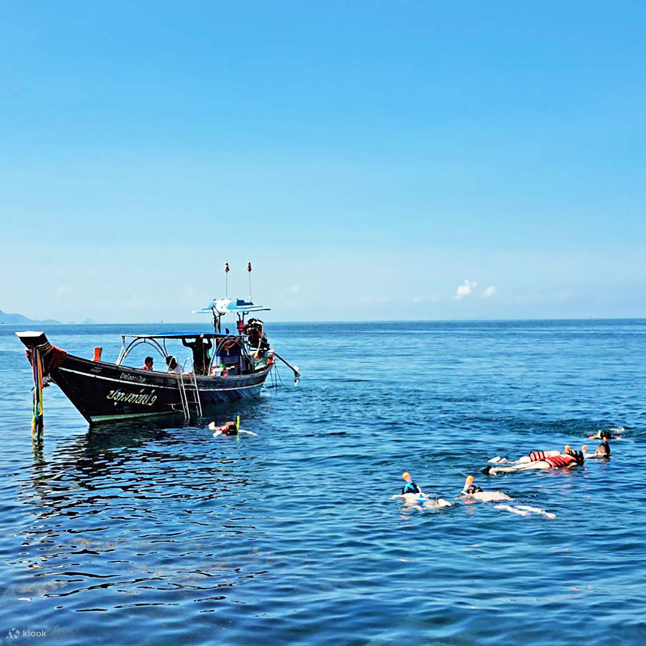 VIP Isla Pig - Klook Estados Unidos