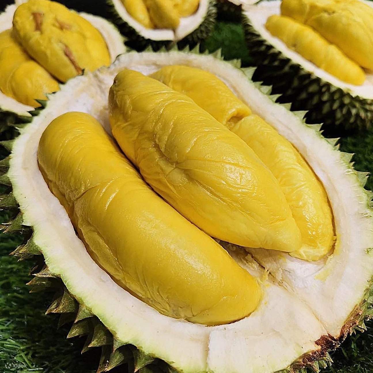 Durian Omakase by Golden Moments - Klook États-Unis