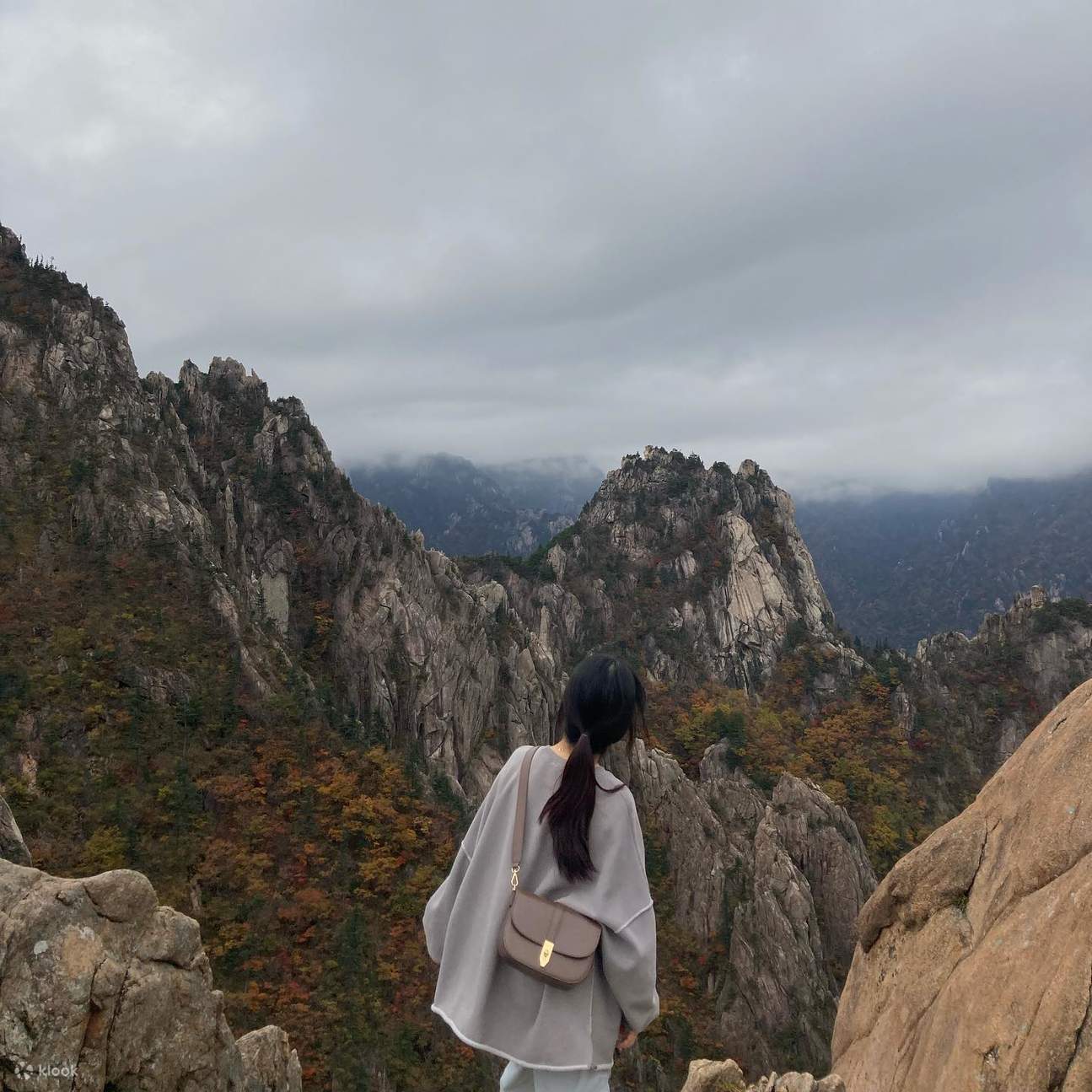 Mt. Seorak & The Tallest Ginko Tree at Yongmunsa - Klook United States