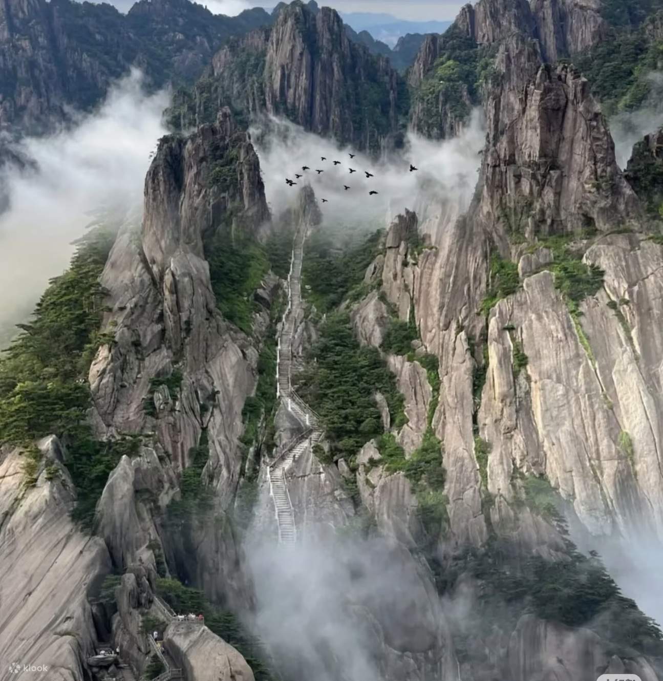 Anhui Huangshan Scenic Area + Hongcun 2-Day Tour (Explore China's World Natural and Cultural ...