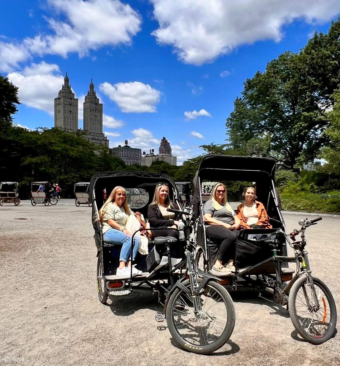 Official Central Park Guided & Private Tours - Explore the Beauty of ...